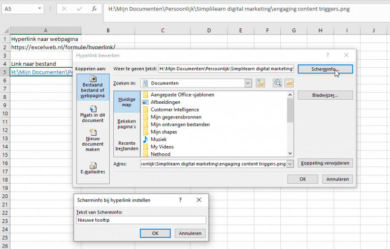 HYPERLINK maken in Excel naar webpagina, document of blad